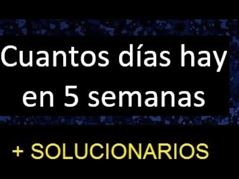 El valor de 5 semanas: ¿Cuánto tiempo realmente representa ...