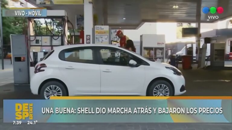 Actualización del Precio de la Nafta Shell hoy en Mar del Plata ...
